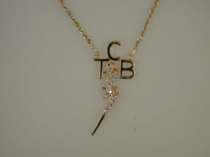 The Elvis Jeweler – Elvis TCB Jewelry by Lowell Hays